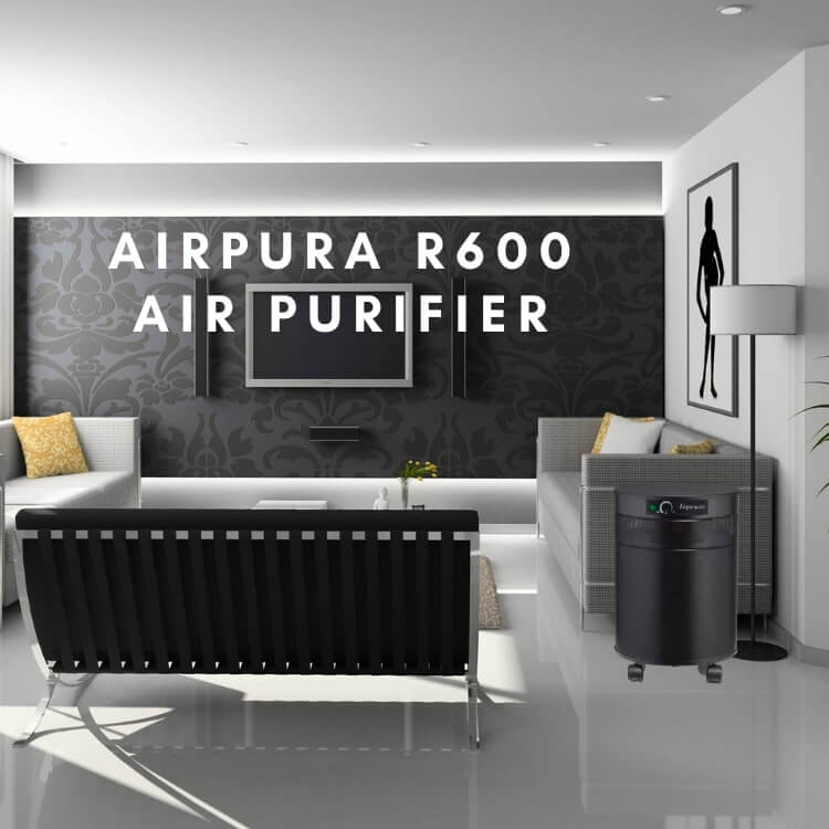 Airpura R600 All Purpose Air Purifier | HEPA | Carbon