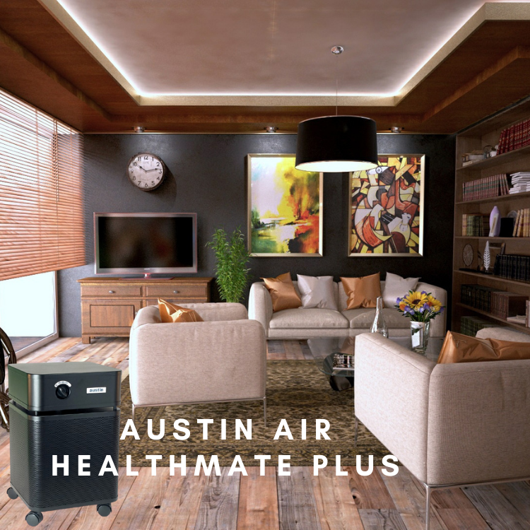 Austin Air HealthMate Plus Air Purifier With HEPA and Carbon